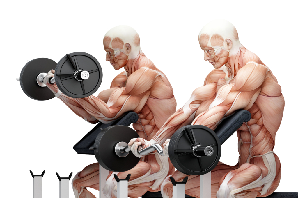 Z-Curls Komplett Guide (Teknik och utförande)