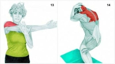 Stretcha: 24 Övningar För Stretching
