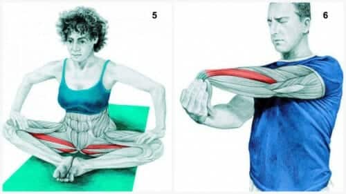 Stretcha: 24 Övningar För Stretching