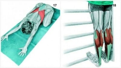 Stretcha: 24 Övningar För Stretching