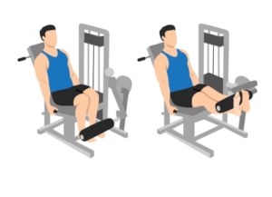 Benövningar | Topp-14 bästa övningarna för att träna ben